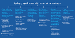An Update to Epilepsy Syndromes with a Variable Age of Onset - Epilepsy ...